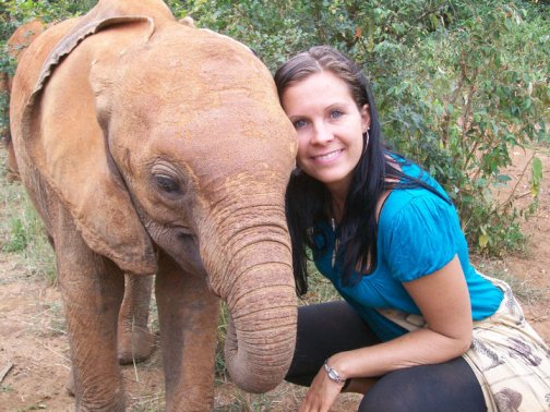 Veterinary Internship Abroad Gracepatt Ecotours Kenya Veterinary Internship Abroad Gracepatt Ecotours Kenya